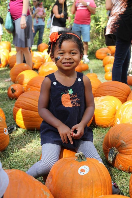 Event Roundup: What to Look Forward to This Weekend | The Buzz Magazines